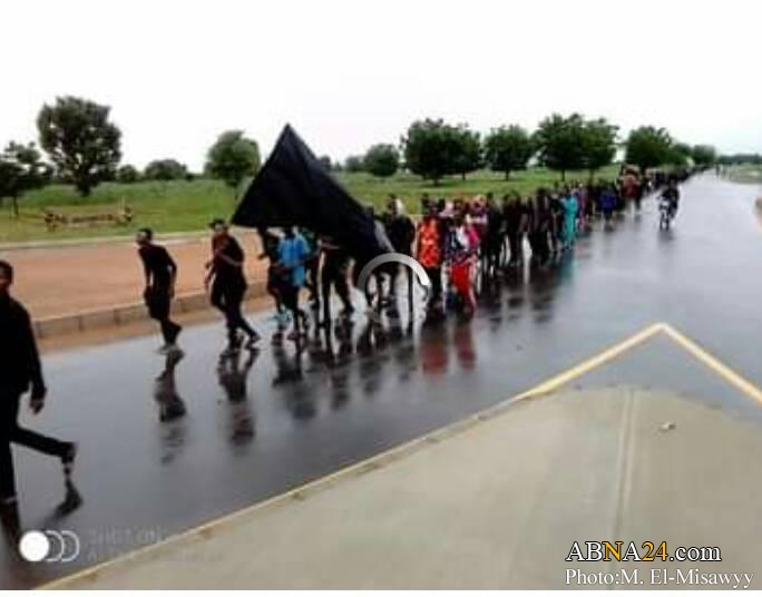 Photos: Ashura mourning procession in Misau town, Bauchi - ABNA English
